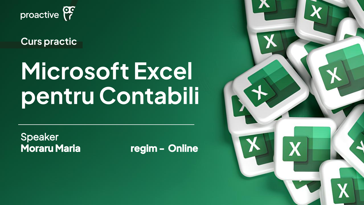 Curs practic MS Excel pentru Contabili